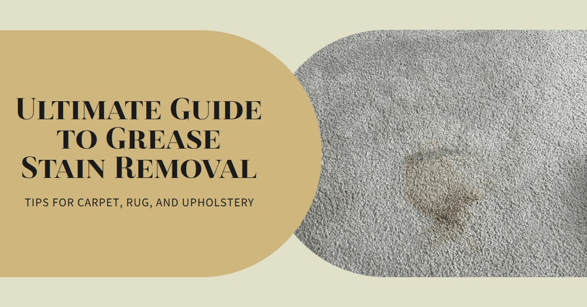 How to Dry a Carpet After Cleaning | 4 Seasons Carpet Clean