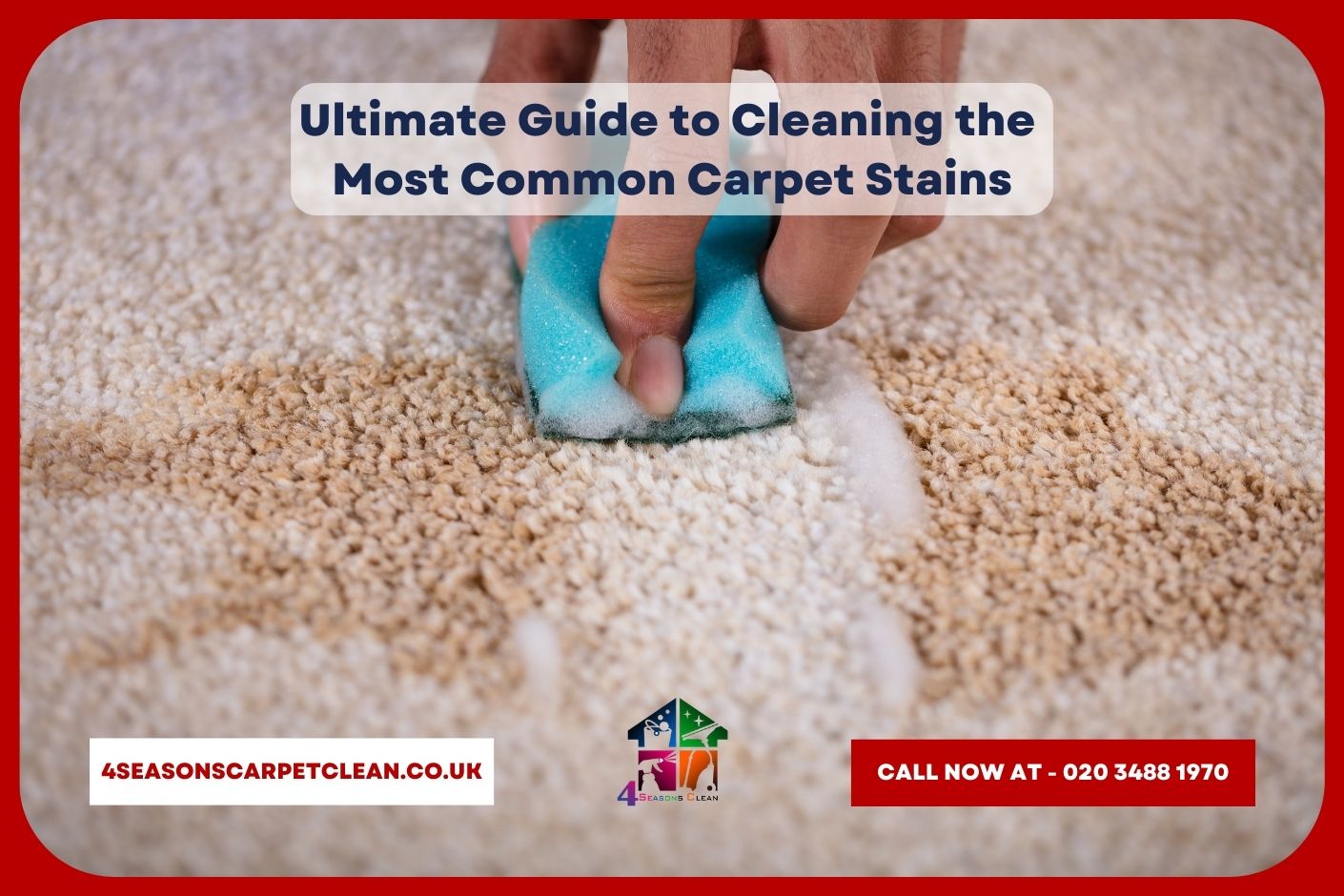 Best Carpet Cleaning Methods: Which One Is Right for You?