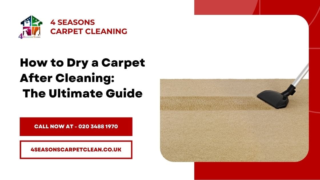 How to Dry a Carpet After Cleaning | 4 Seasons Carpet Clean