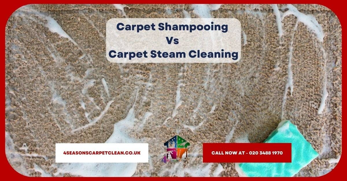 Is it Better to Shampoo or Steam Clean Carpets? - 4 Seasons Carpet Clean