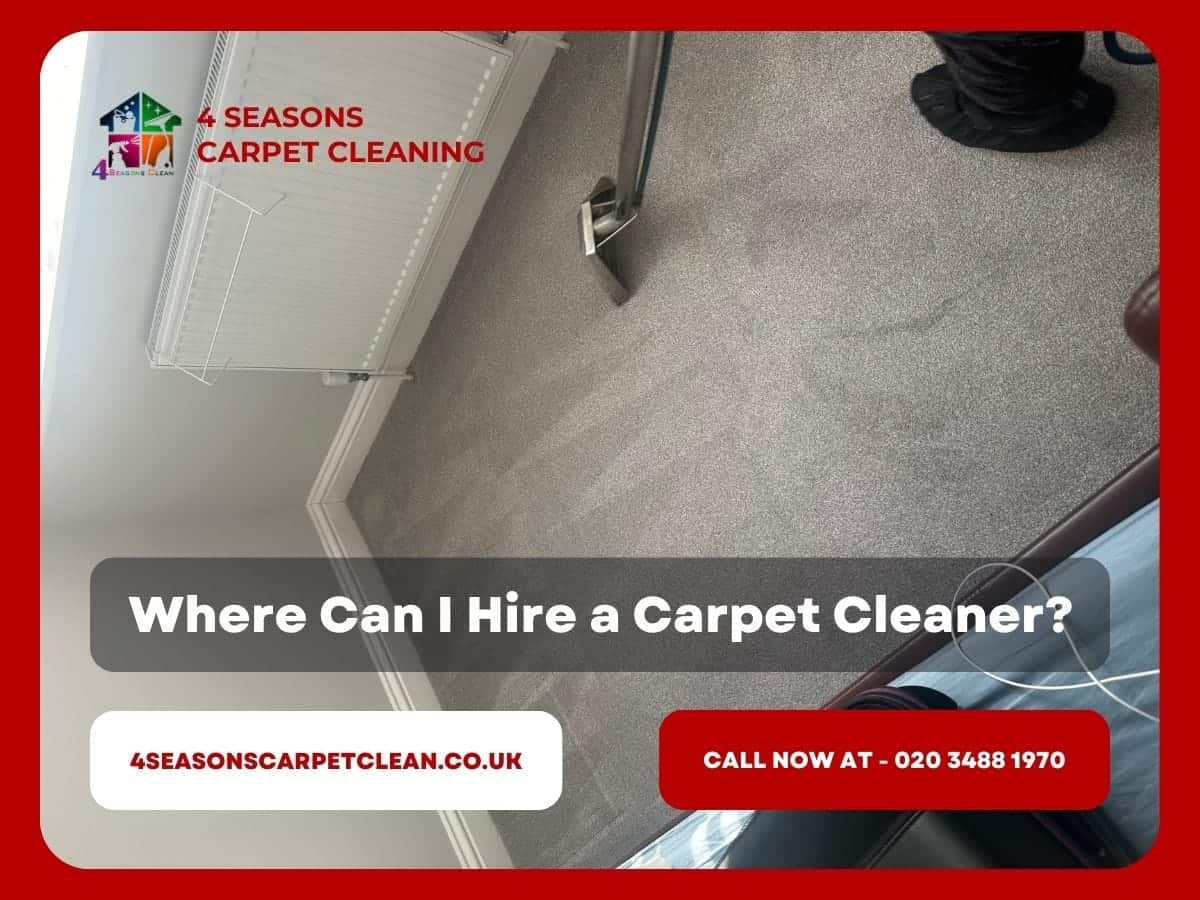Where Can I Hire a Carpet Cleaner? 2024 Guide
