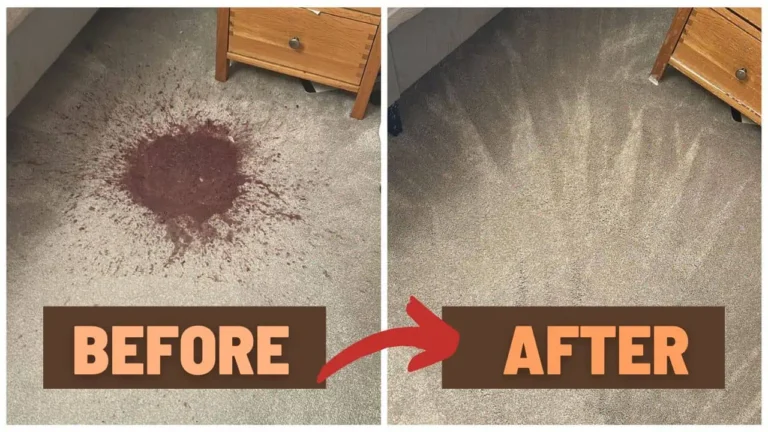 How to Remove Blu Tack from Carpet: 7 DIY Hacks + Professional Help